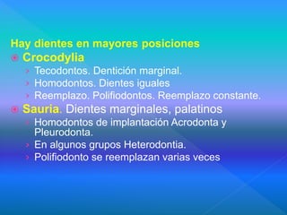 Generalidades de reptiles vertebrados 2015 (2) | PPTX