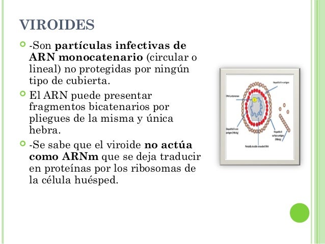 Ejemplos De Viroides
