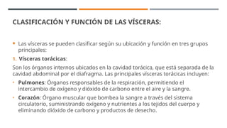 Presentación Generalidades de vísceras.pptx
