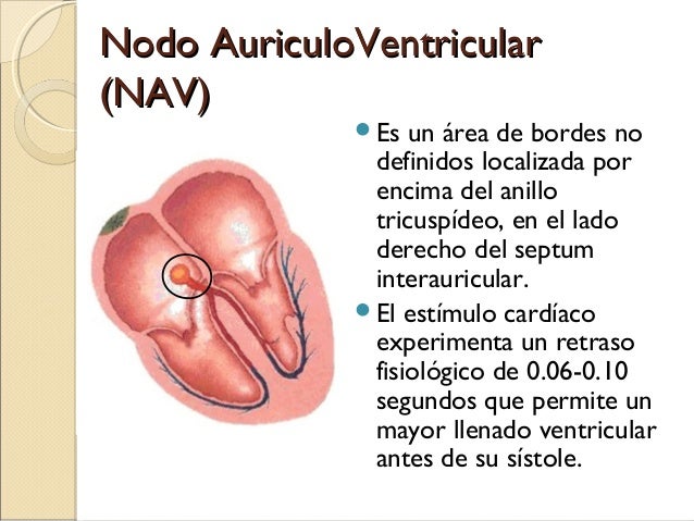 Generalidades ecg