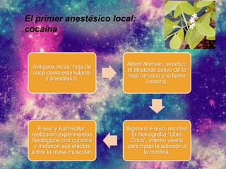 Generalidades e historia de la anestesia | PPTX
