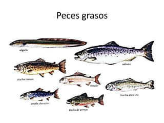 Generalidades hidrobiologicos | PPT