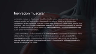 generalidades osteologia, artrologia y miologia.pptx