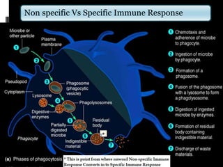Introductions to immunology | PPTX