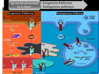 Introductions to immunology | PPTX