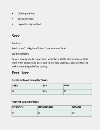 The Cultivation of cucumber in details.pdf