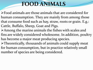 General information about meat animals | PPTX