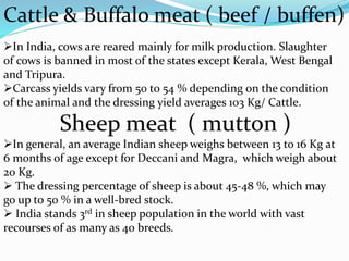 General information about meat animals | PPTX
