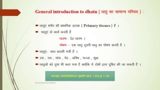 Concept of Dhatu.pptx