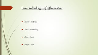 GENERAL INTRODUCTION TO INFLAMMATION.pptx