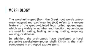 General introduction to medical and veterinary insects.pptx