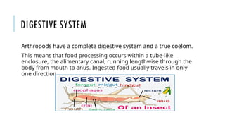 General introduction to medical and veterinary insects.pptx