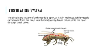 General introduction to medical and veterinary insects.pptx