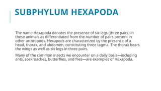 General introduction to medical and veterinary insects.pptx