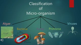 General introduction to micro organisms | PPTX