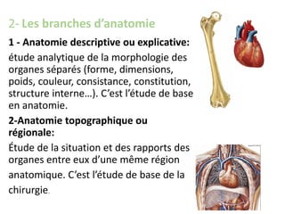 Généralité ANATOMIE et physiologie humaines.pdf