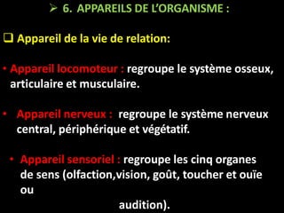 generalites_anatomie_1.pptx presentation sur anatomie | PPTX