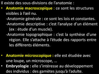 generalites_anatomie_1.pptx presentation sur anatomie | PPTX