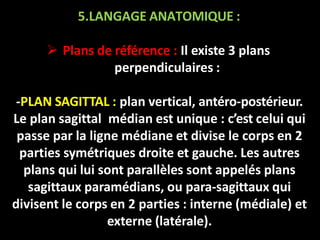 generalites_anatomie_1.pptx presentation sur anatomie | PPTX