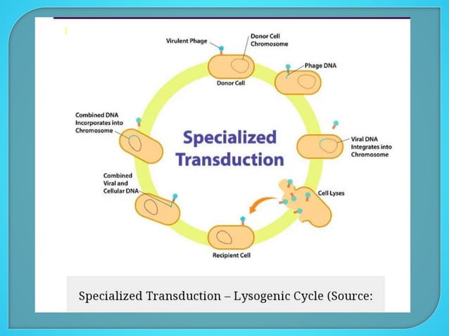 Generalized & specialized transduction | PPTX