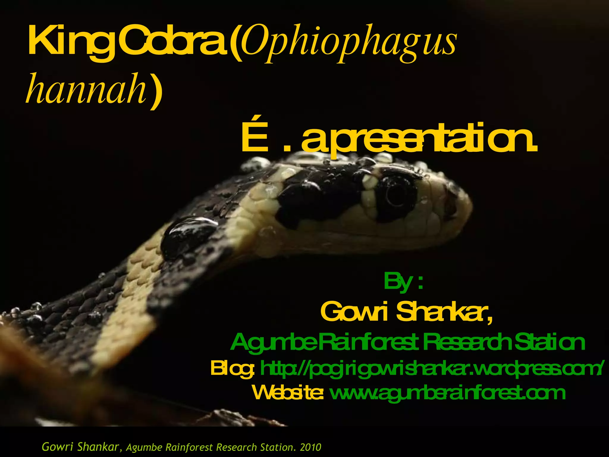 Presentation on King cobra | PPS