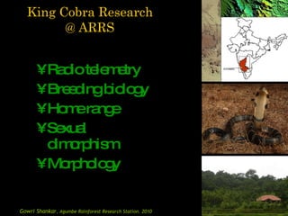 Presentation on King cobra | PPS