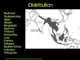 King Cobra Habitat Map