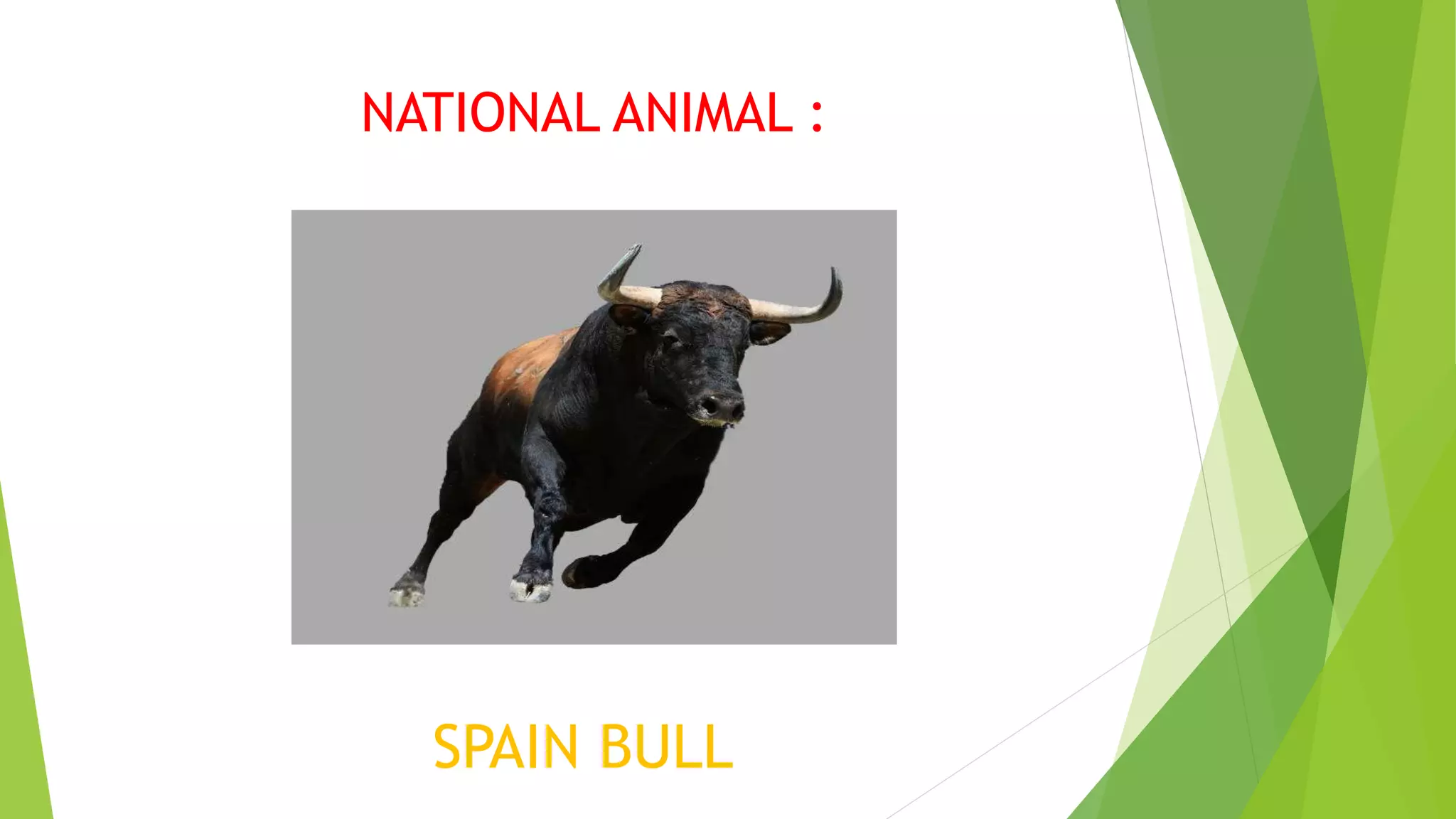 General knowledge - National Symbols Of SPAIN | PPTX
