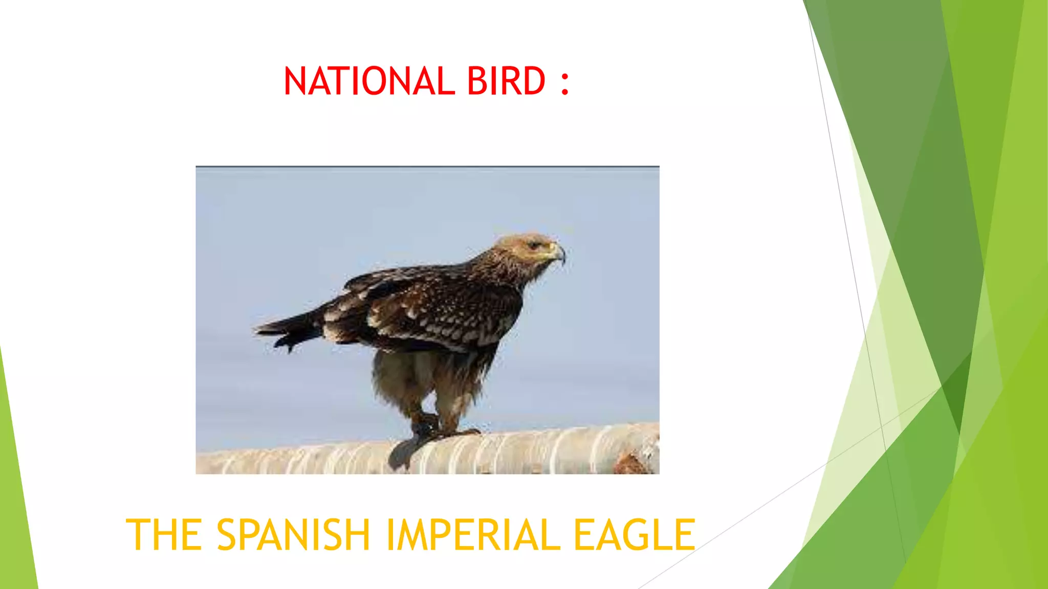 General knowledge - National Symbols Of SPAIN | PPTX