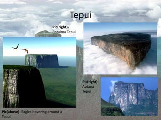 General knowledge part 1 | PPT