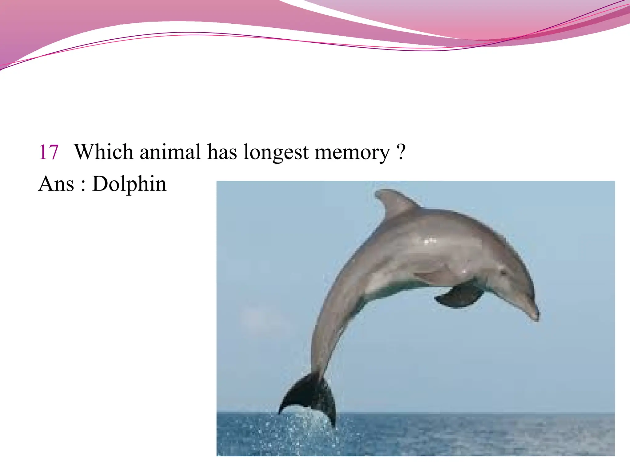 GENERAL KNOWLEDGE (3) (2).pptx kuntham vi | PPTX