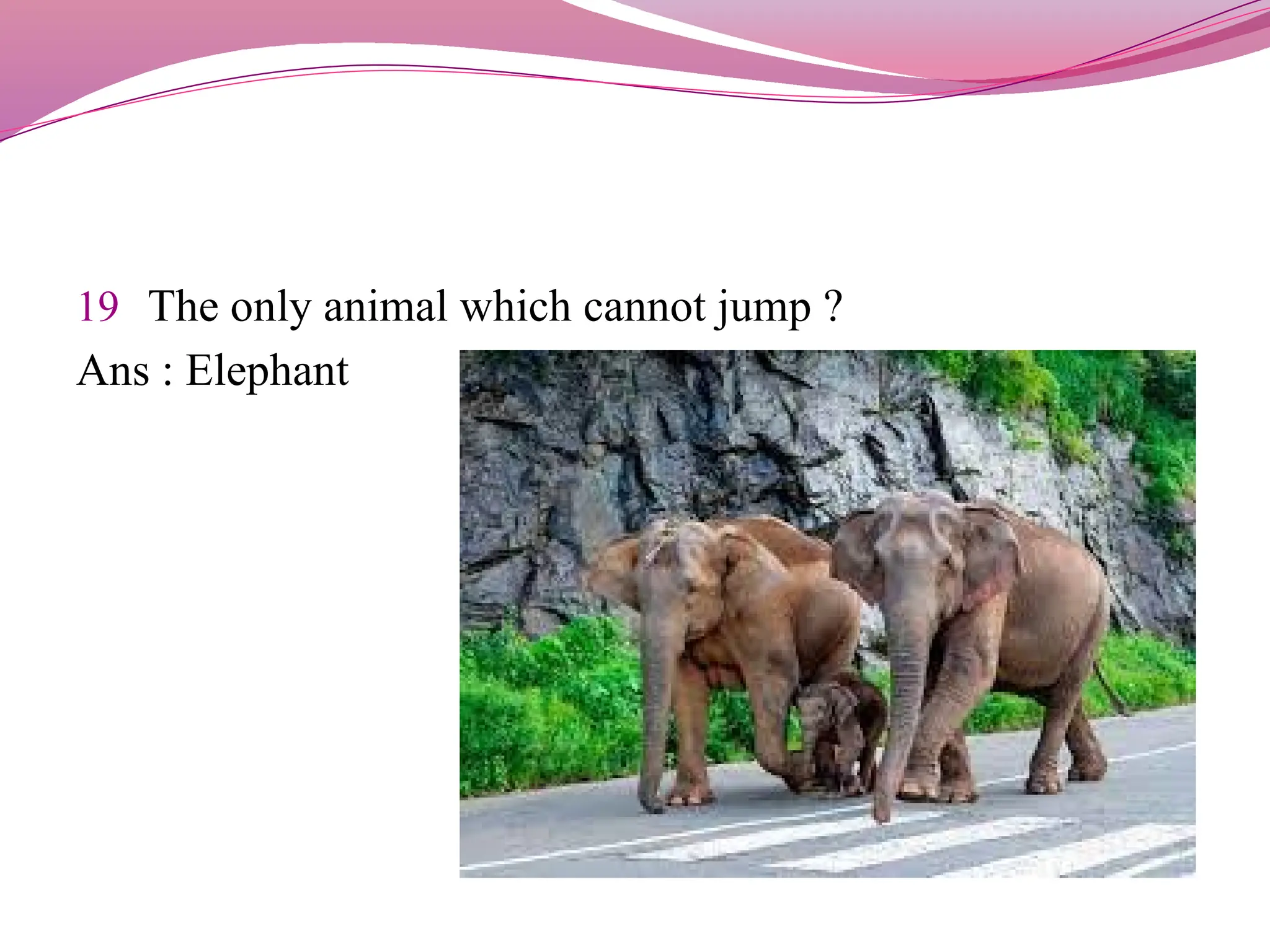 GENERAL KNOWLEDGE (3) (2).pptx kuntham vi | PPTX