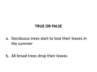 General knowledge of forestry | PPT