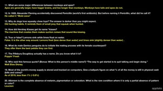 General Knowledge Trivia Quiz #28 | PPT