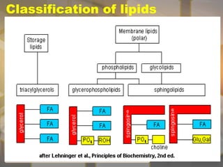 General lipids | PPT