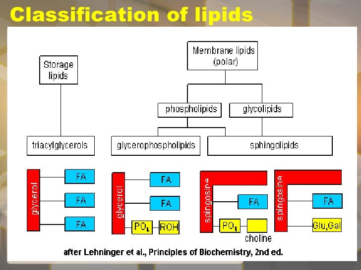 General lipids