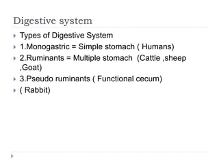 General livestock feeding By Allah Dad Khan | PPT