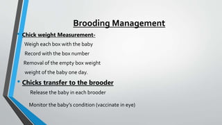 General management in poultry farms.pptx