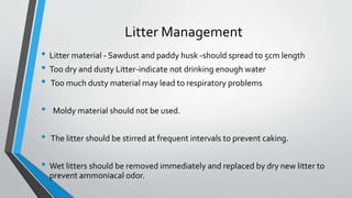 General management in poultry farms.pptx