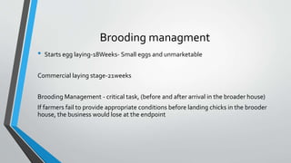 General management in poultry farms.pptx