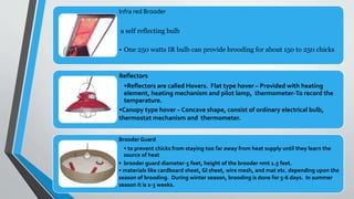 General management in poultry farms.pptx