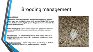 General management in poultry farms.pptx