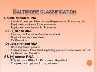 classification of virus :LHT,HOLMES,BALTIMORE,ICTV | PPTX | Biological ...