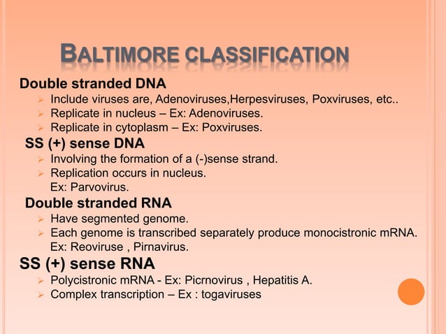 classification of virus :LHT,HOLMES,BALTIMORE,ICTV | PPTX | Biological ...