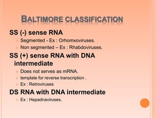 classification of virus :LHT,HOLMES,BALTIMORE,ICTV | PPTX | Biological ...