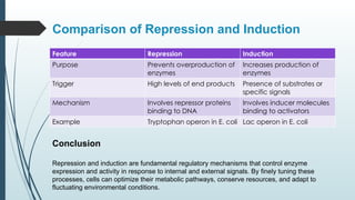 GENERAL MECHANISMS OF ENZYME REGULATION (1).pptx