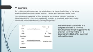 GENERAL MECHANISMS OF ENZYME REGULATION (1).pptx