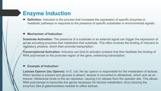 GENERAL MECHANISMS OF ENZYME REGULATION (1).pptx