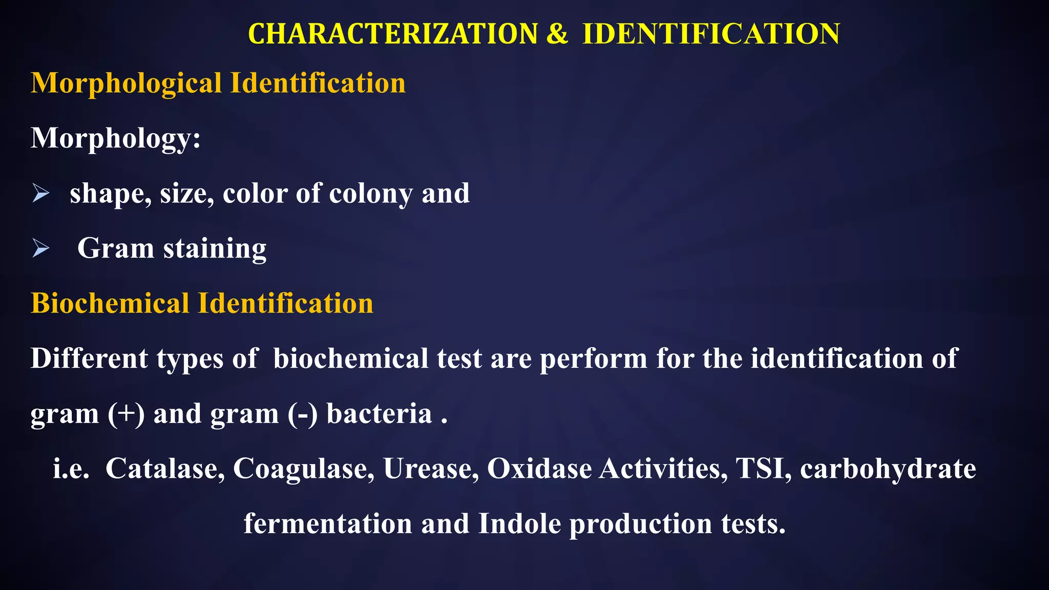 Microorganisms Cultivation Isolationpurification And Characterization