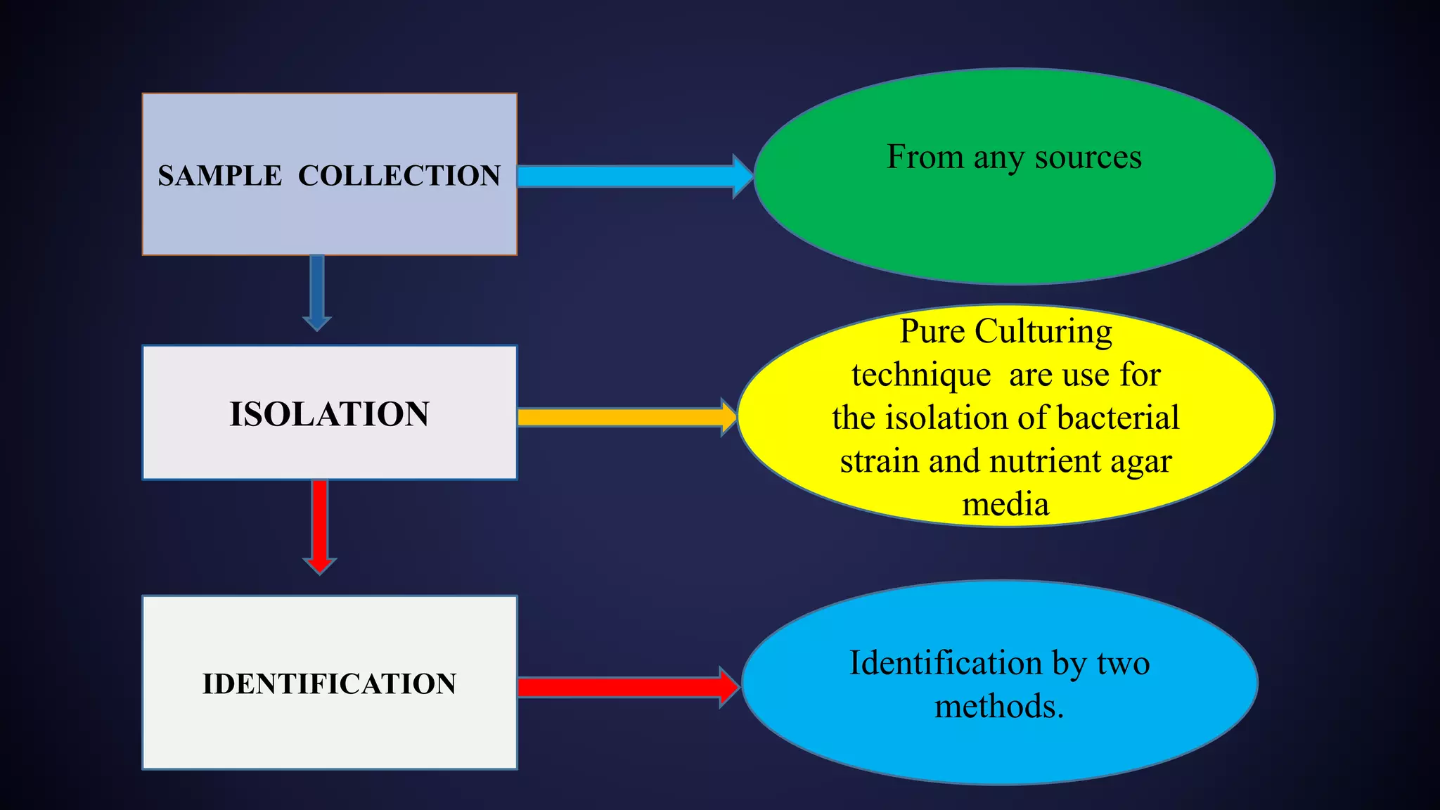 Microorganisms Cultivation Isolationpurification And Characterization